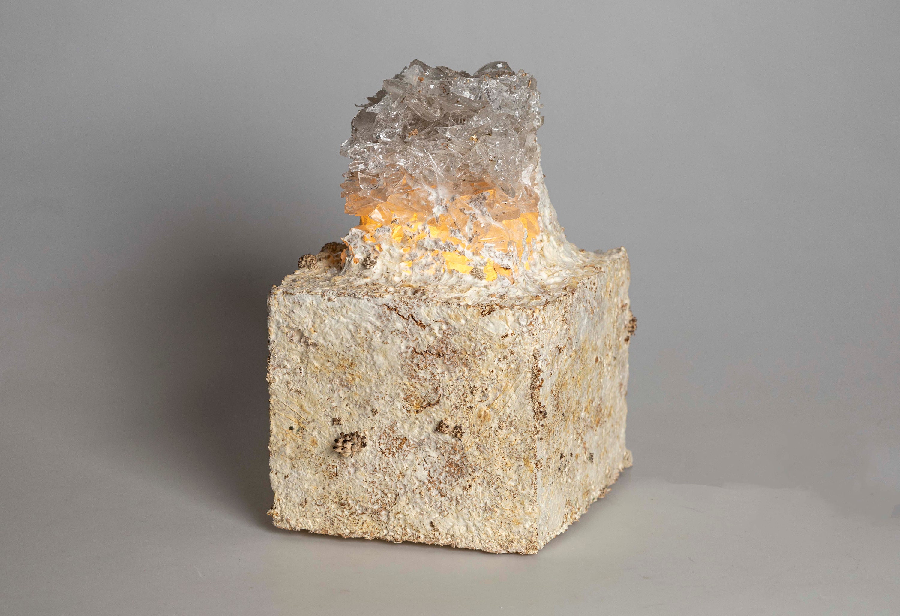 Mycelium Lamp by Eliumdesign Studio - Etsy