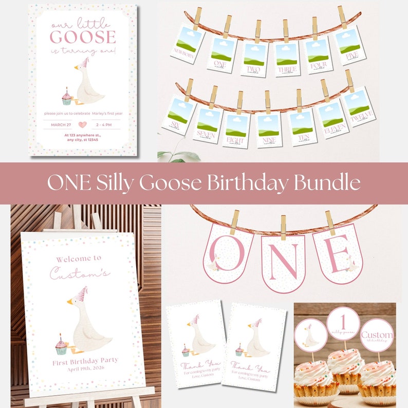 Silly Goose First Birthday Invitation, Custom Canva Template (digital ...