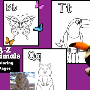 Alphabet Animals Coloring Pages, Kids Coloring Pages, Animal Coloring ...