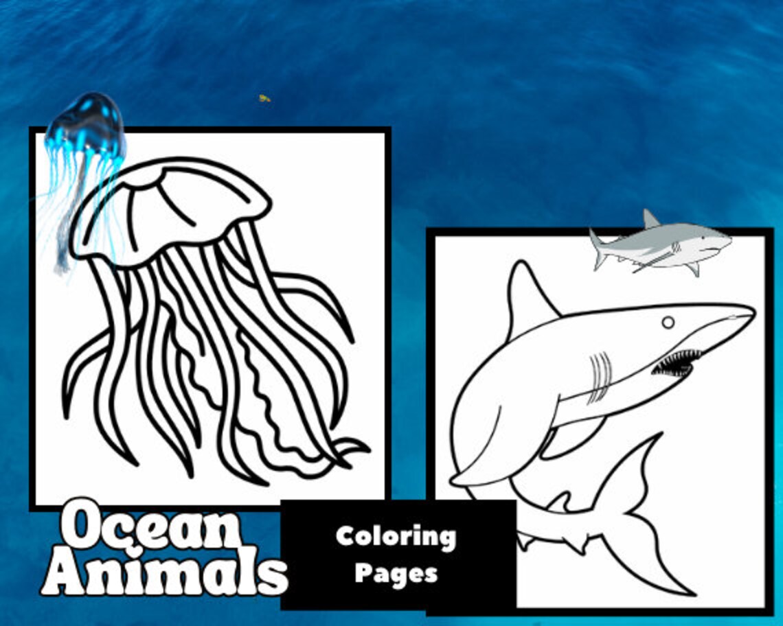 Sea Animals Coloring Pages, Kids Coloring Pages, Ocean Animals Coloring ...