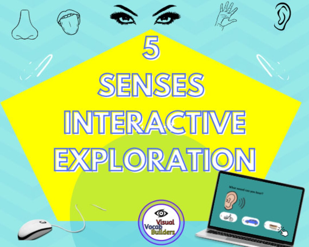 Five Senses Interactive Exploration Identify 5 Senses Body - Etsy