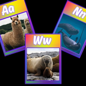 ABC Animal Flashcards, Alphabet-animal Flashcards, A-Z Animal Matching ...