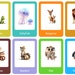 Animal ABC Flash Cards Educational Cards for Kids Printable - Etsy