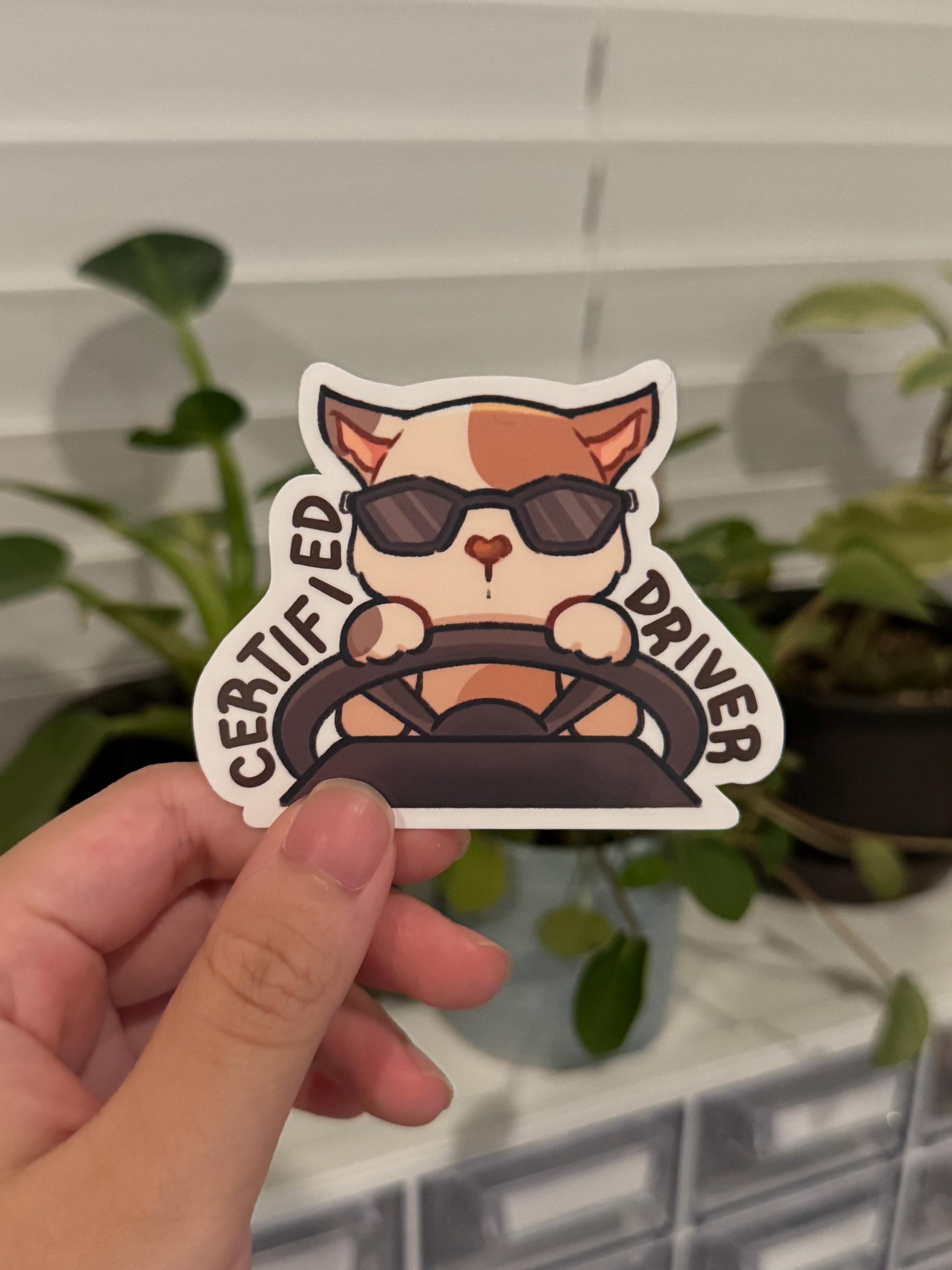 Certified Napper Cat Meme Sticker | Funny Waterproof Laptop Decal - Etsy