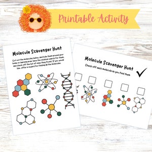 Molecule Scavenger Hunt Game Printable STEM Learning Activity Science ...