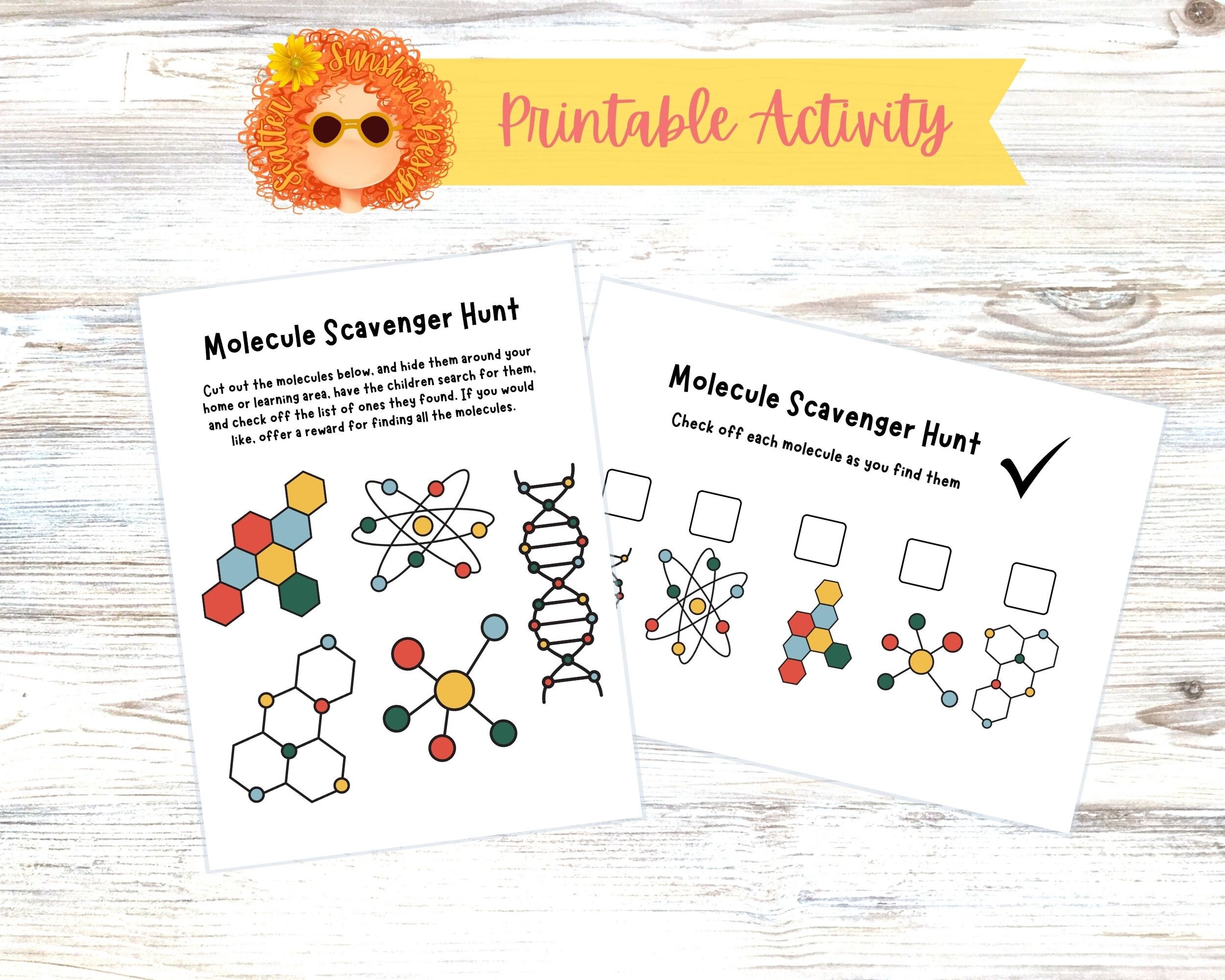 Molecule Scavenger Hunt Game Printable STEM Learning Activity Science ...