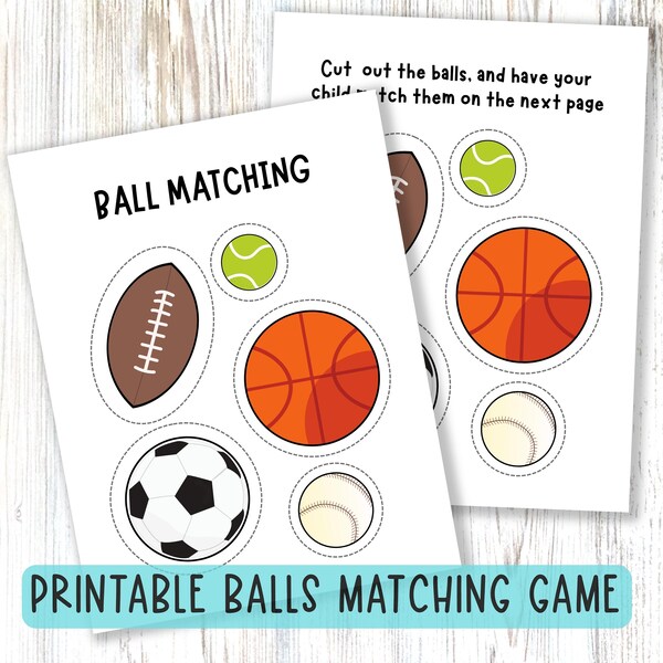 File Folder Game - Etsy