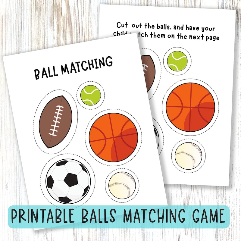 File Folder Game - Etsy