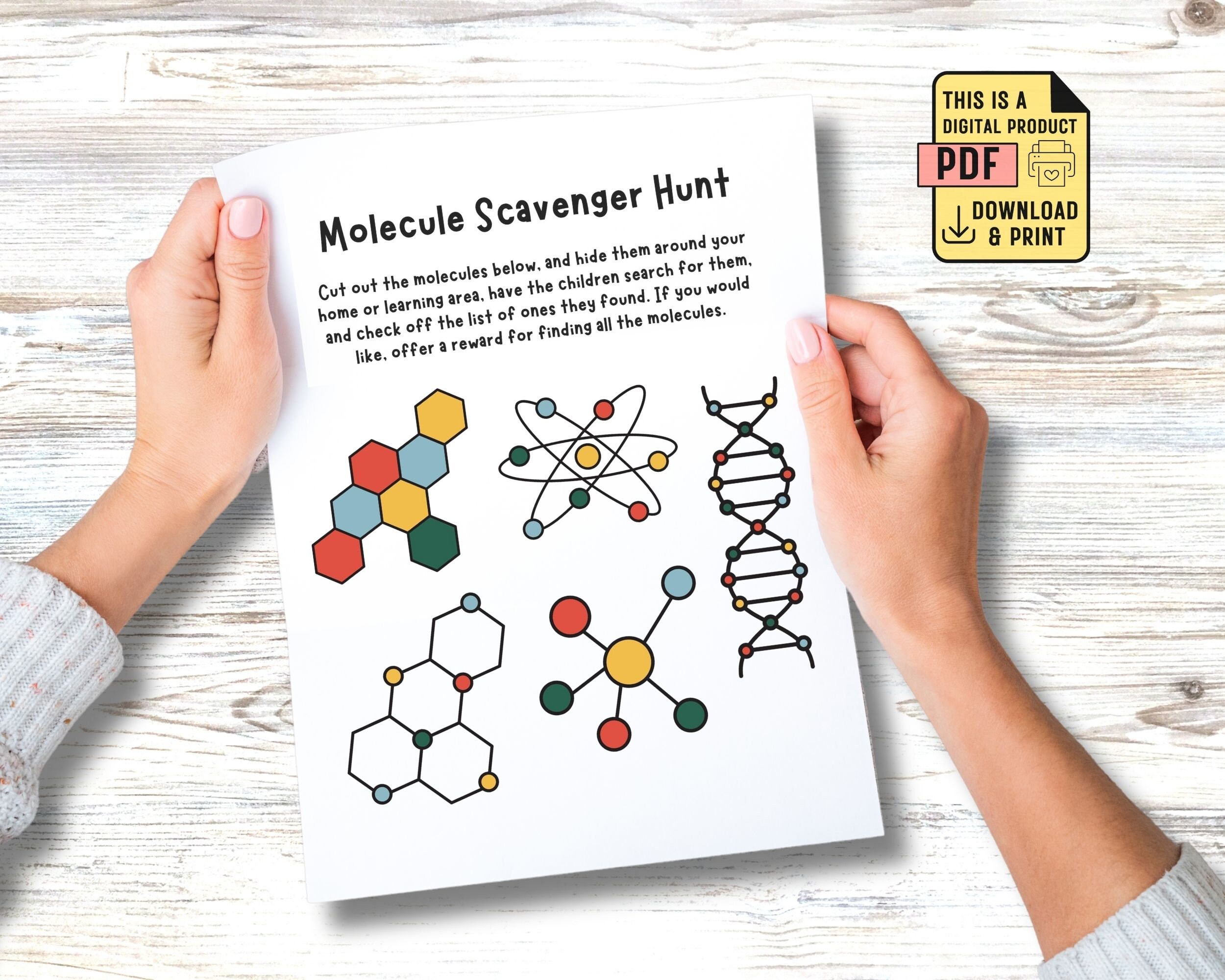 Molecule Scavenger Hunt Game Printable STEM Learning Activity Science ...
