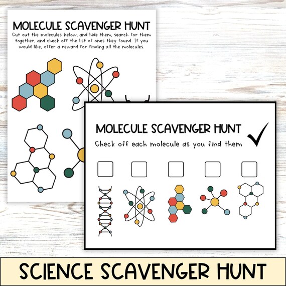 Science Scavenger Hunt Middle School