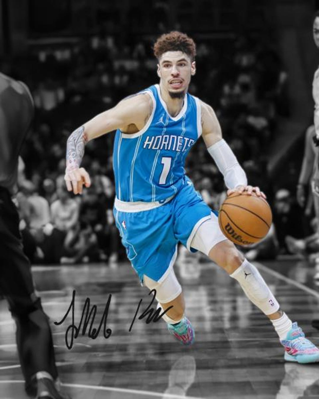 Lamelo Ball Charlotte Hornets Signed Photo Autograph Print Poster Wall ...