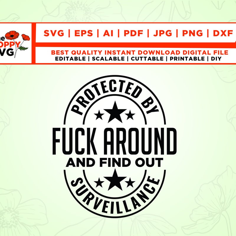 F Around and Find Out Svg - Etsy