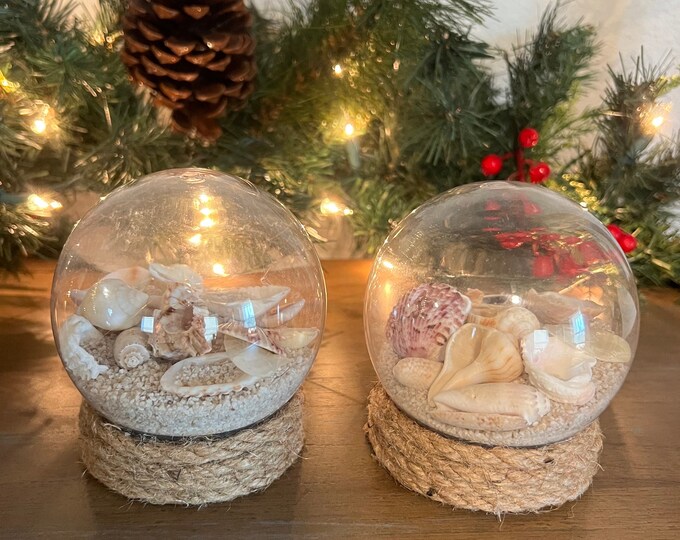 Sanibel Seashell Globe - Etsy