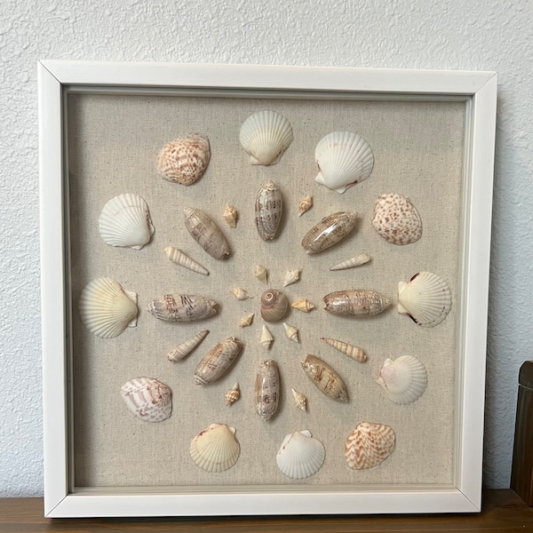 Seashell Shadow Box - Etsy
