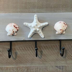 Beachy Seashell Coat Rack/key Hook - Etsy UK