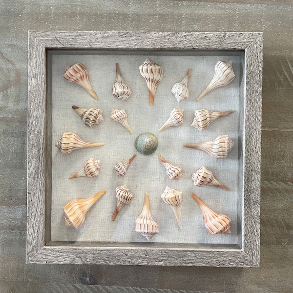 Seashell Shadow Box - Etsy