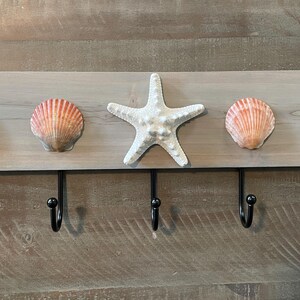 Beachy Seashell Coat Rack/key Hook - Etsy UK