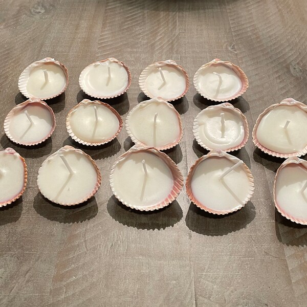 Seashell Candle - Etsy