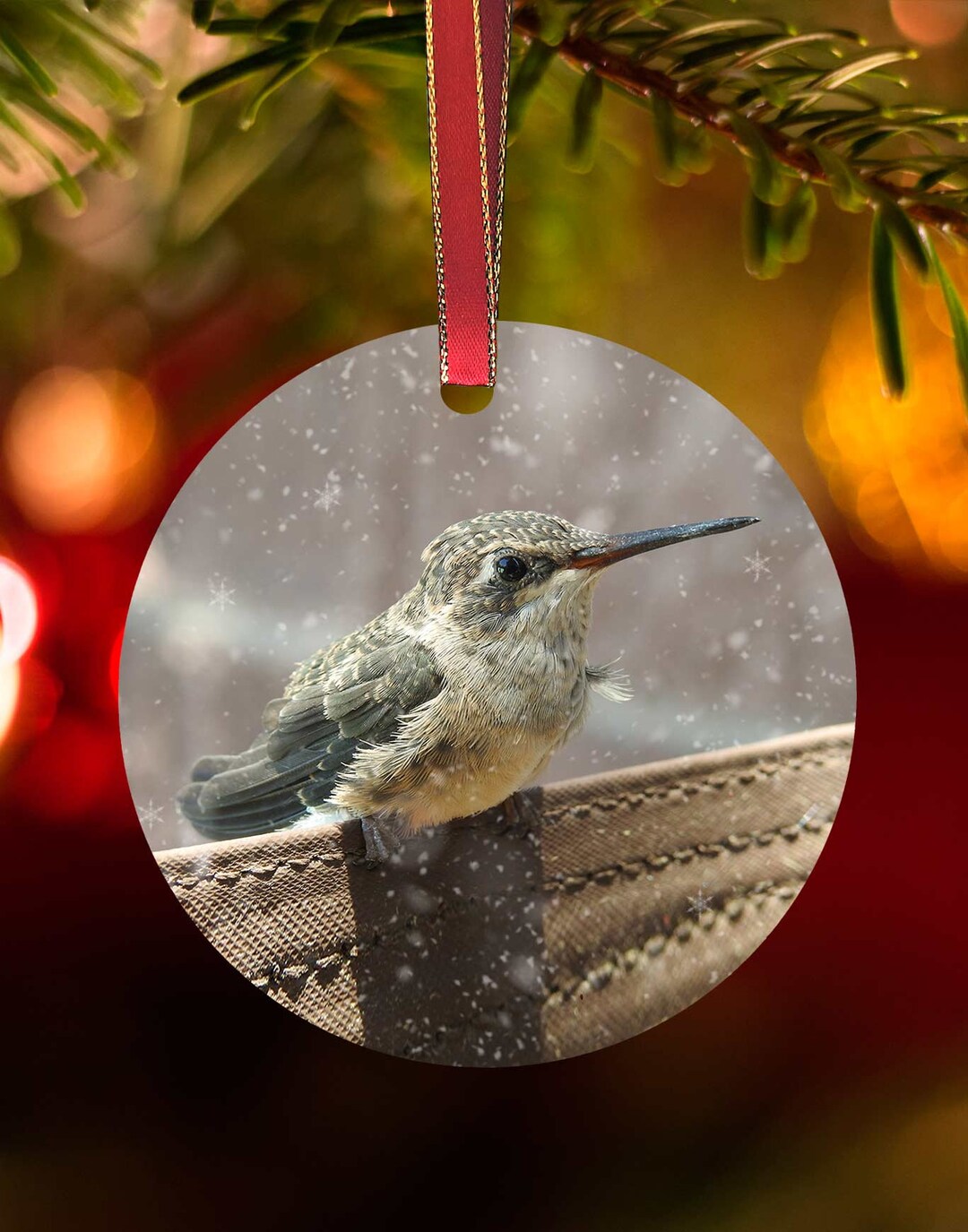 Fledgling Black-chinned, Hummingbird Christmas Tree Ornament. Holiday ...