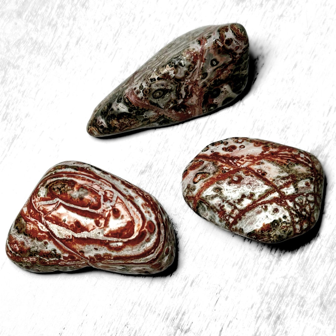 Tumbled Leopard Skin Jasper, 100% Natural Premium Leopardite , Polished ...