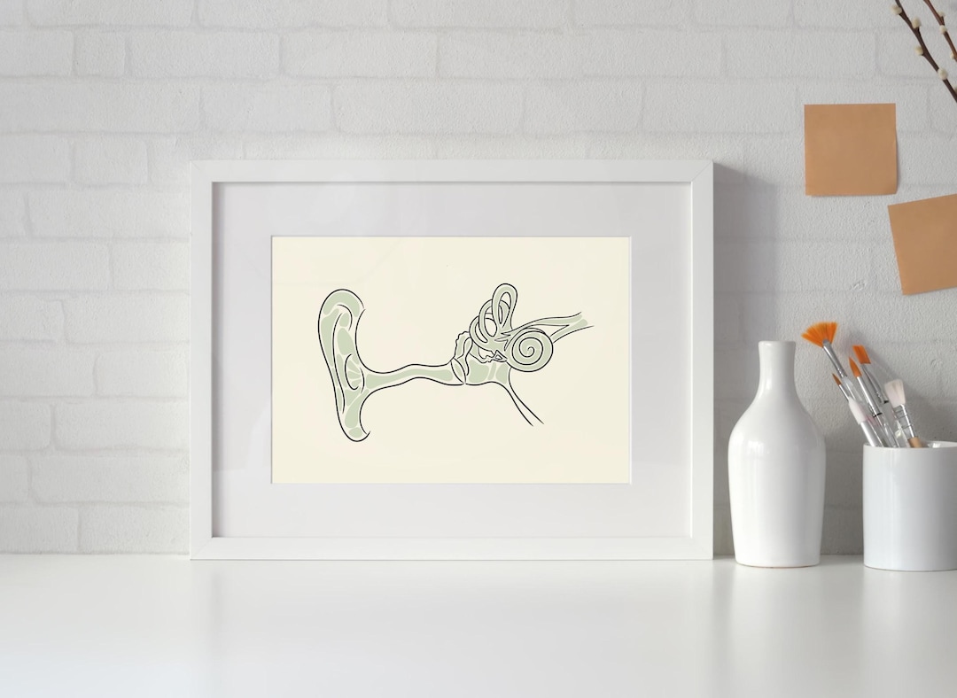 Auditory System Print, Instant Download Art, Medical Office Wall Art ...