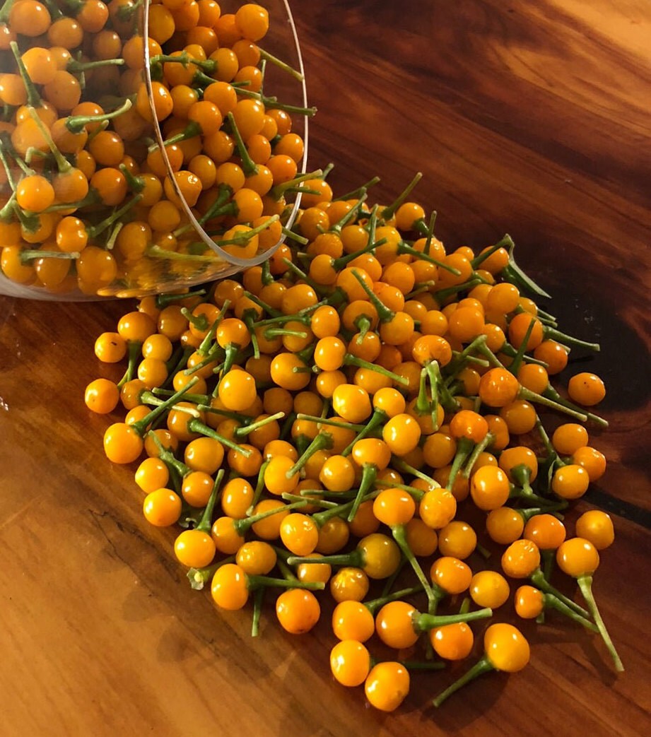 Charapita Yellow,aji Amarilo Chili 20 Seeds - Etsy UK