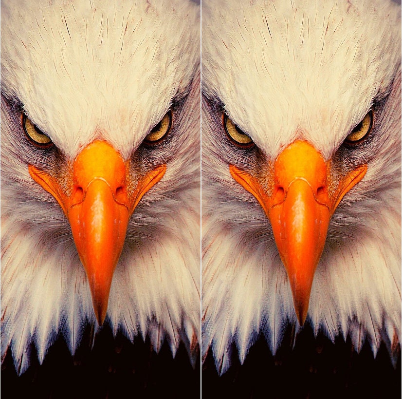 Laminated Bald Eagle Cornhole Wrap Set - Etsy