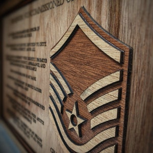 Air Force (E7) MASTER SERGEANT SNCO Promotion Creed Framed Art Plaque ...