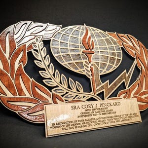 Air Force Specialty Code (AFSC) Badge Plaque, USAF - Etsy