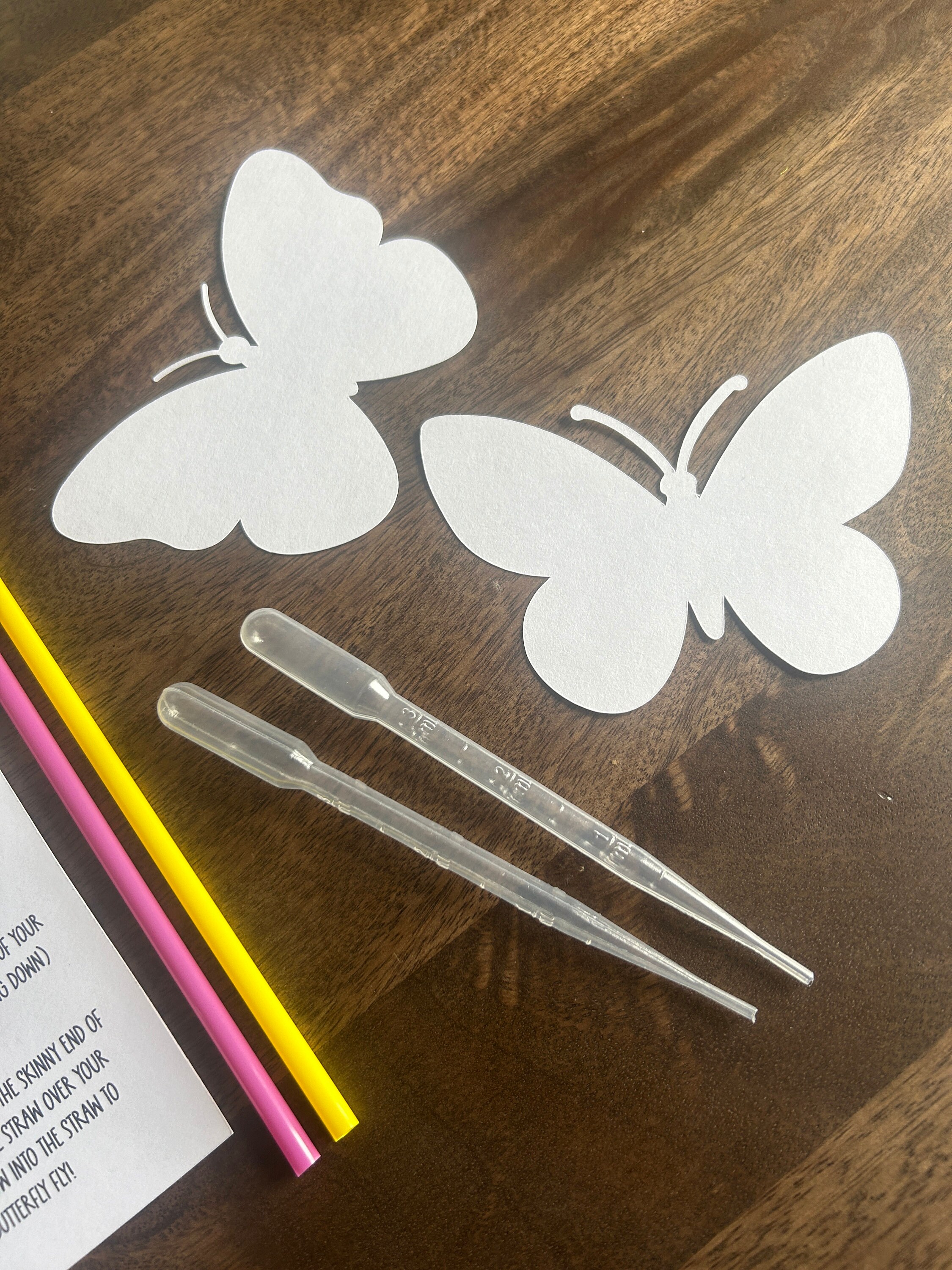 Butter-fly-er Craft for Kids Kids Summer Crafts and Activities Fun for ...