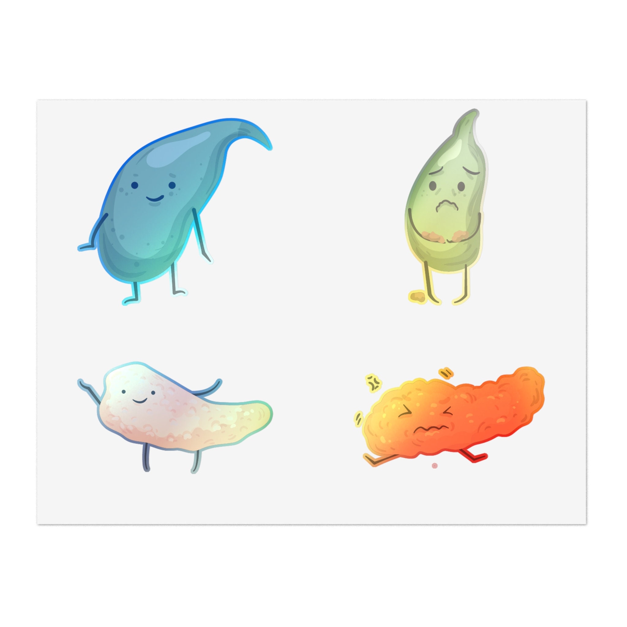 Gallbladder and Pancreas Stickers - Etsy