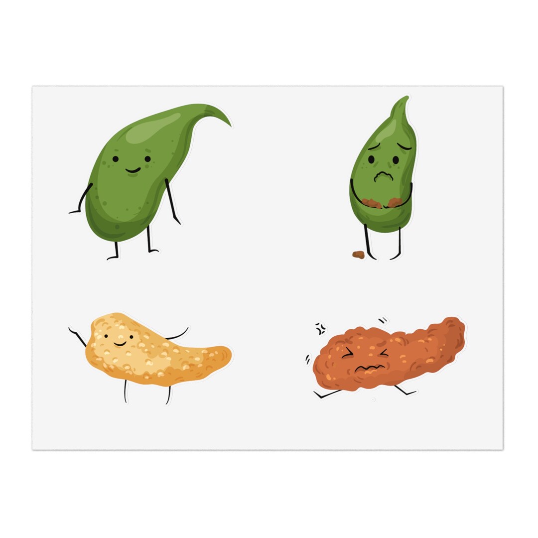 Gallbladder and Pancreas Stickers - Etsy