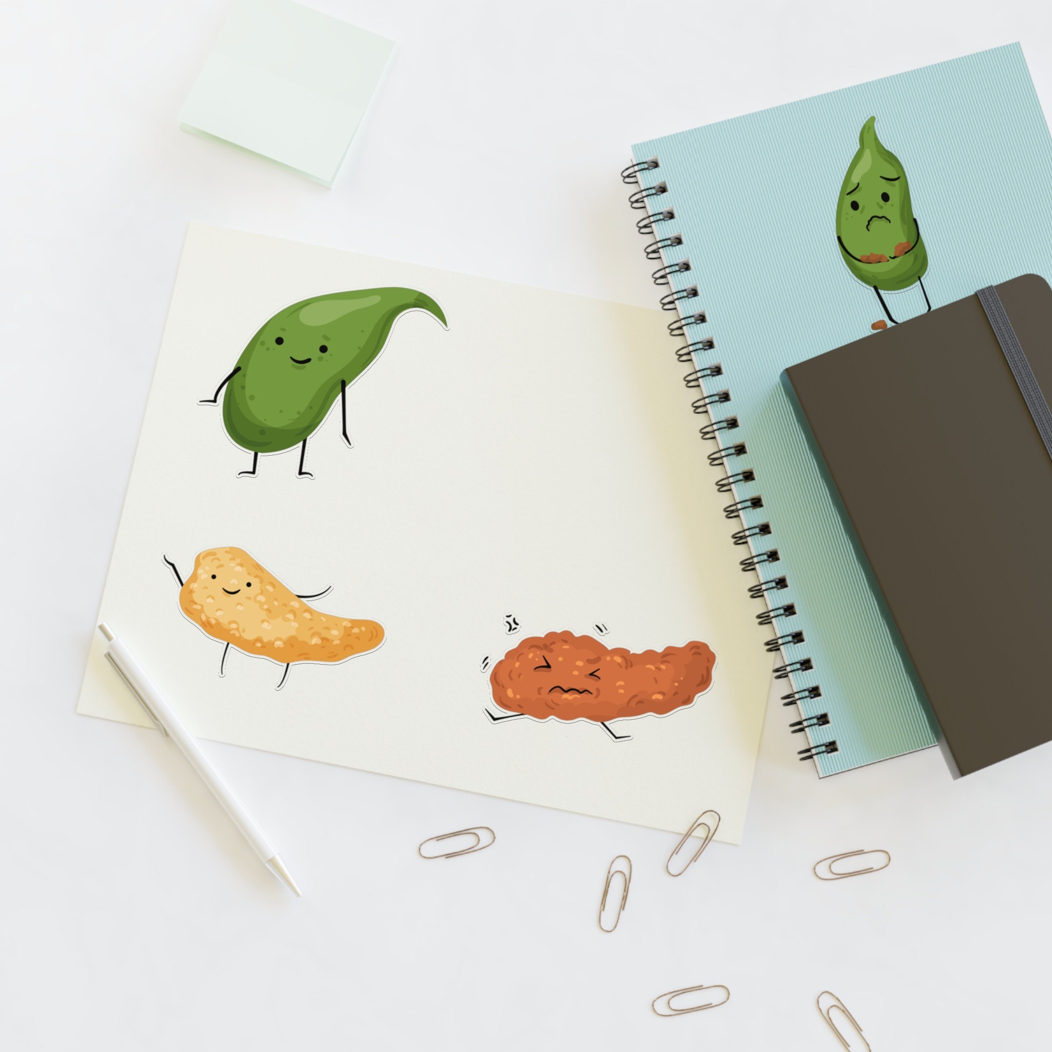 Gallbladder and Pancreas Stickers - Etsy