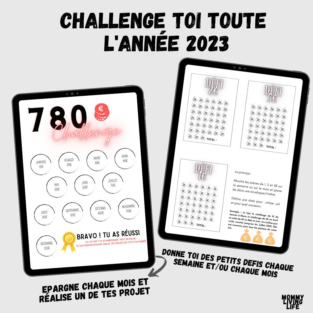 Financial Monitoring 2023, Monthly Budget in French, Budget Challenge ...