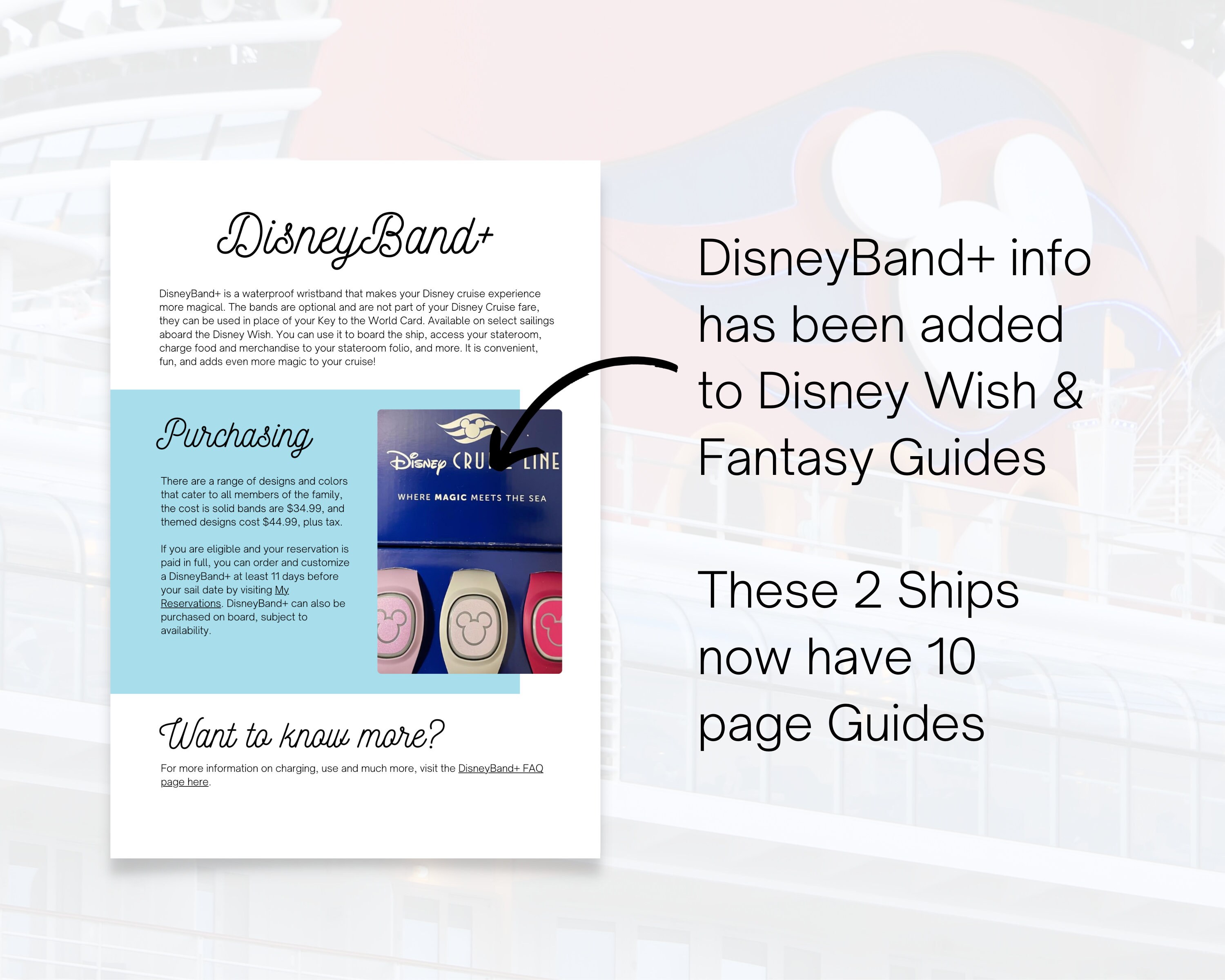 DCL Ship Guide Bundle: Cruise Planner Templates for Travel Agents ...
