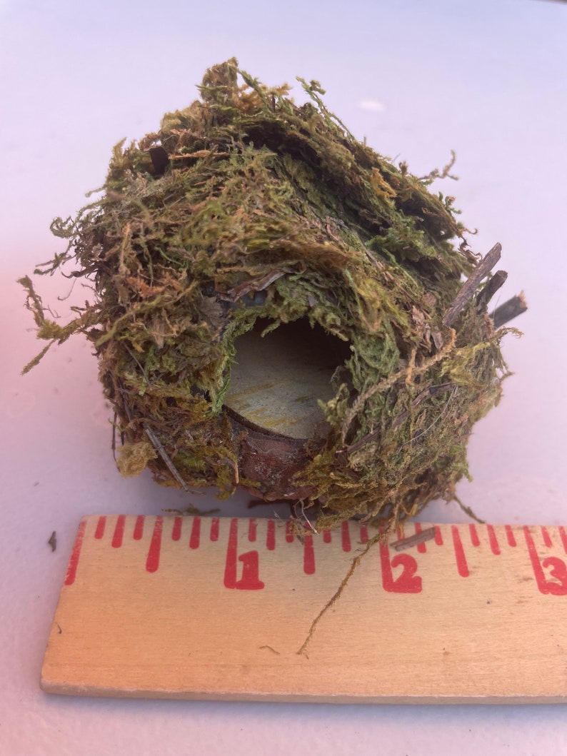 Hanging Moss Hide for Spiders Jumping Spiders Insects Magnetic Stays on ...