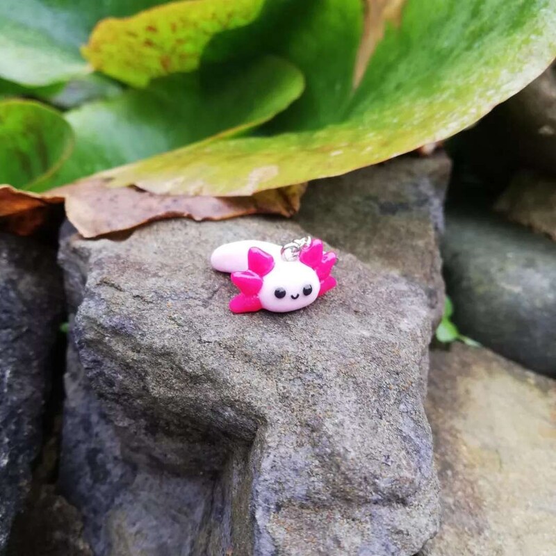 Cute Axolotl Kawaii - Etsy