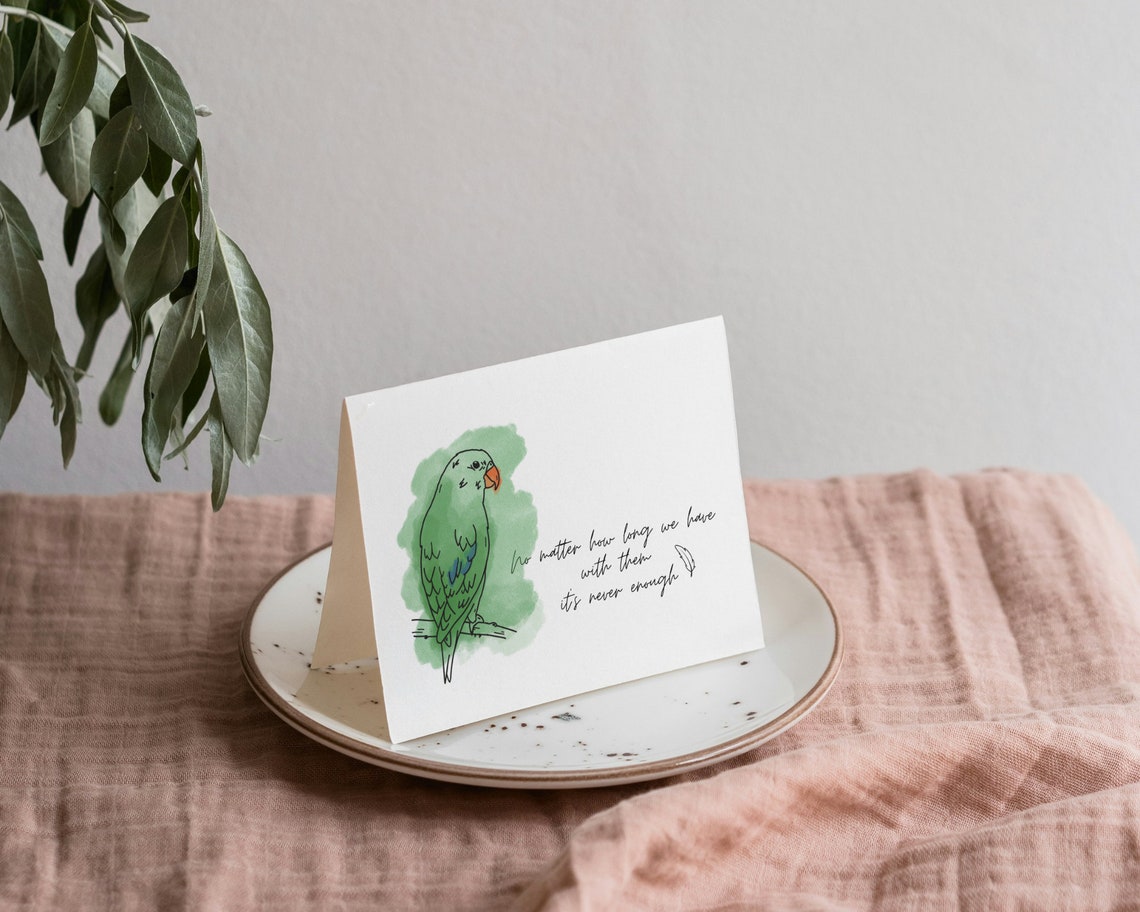 Watercolor Bird Sympathy Card: Parrot Condolence (digital Download) - Etsy