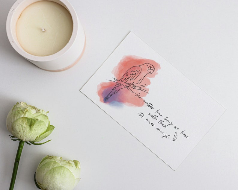 Parrot Sympathy Card: Watercolor Bird Condolence (digital Download) - Etsy