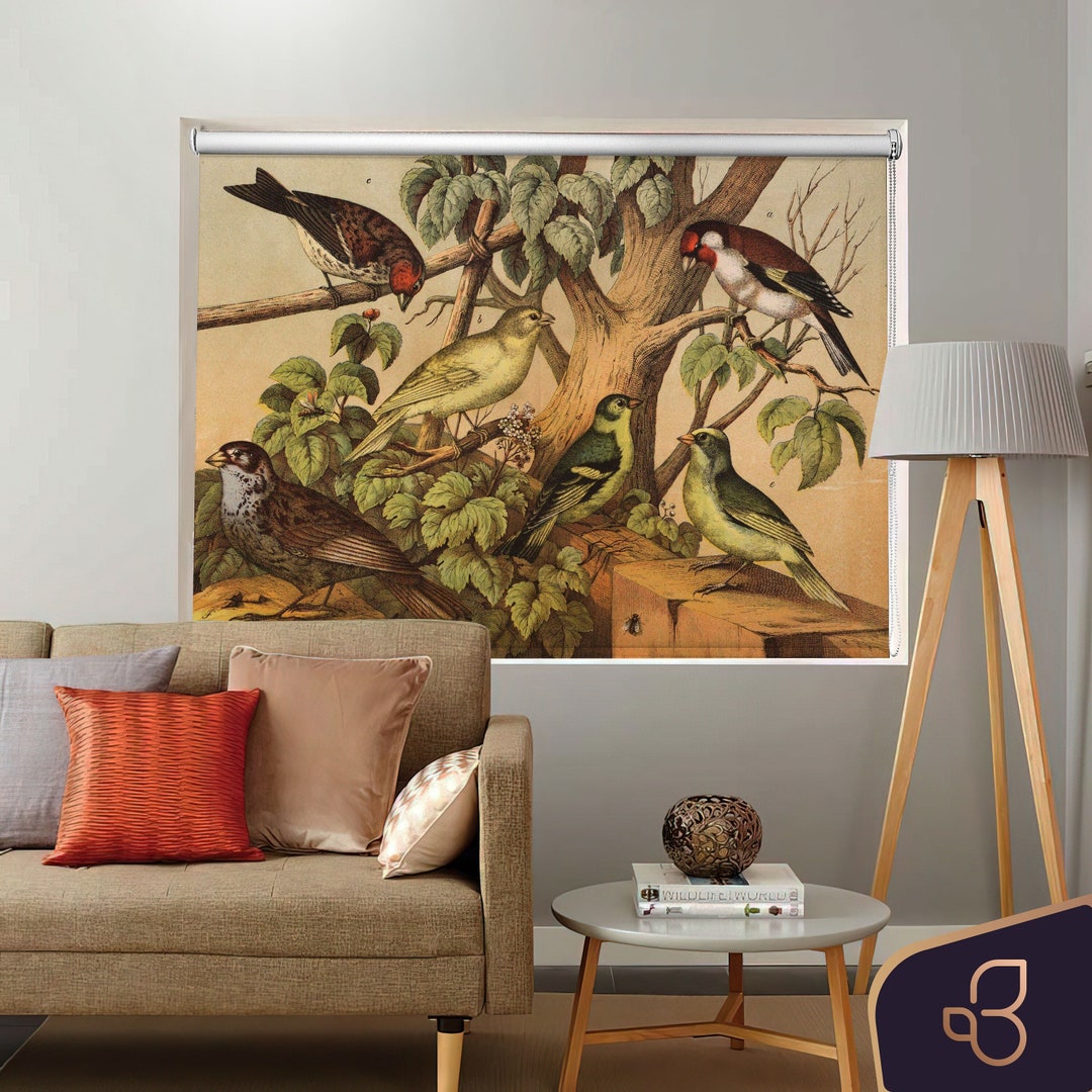Retro Birds Blackout Roller Shades Different Species of Birds - Etsy
