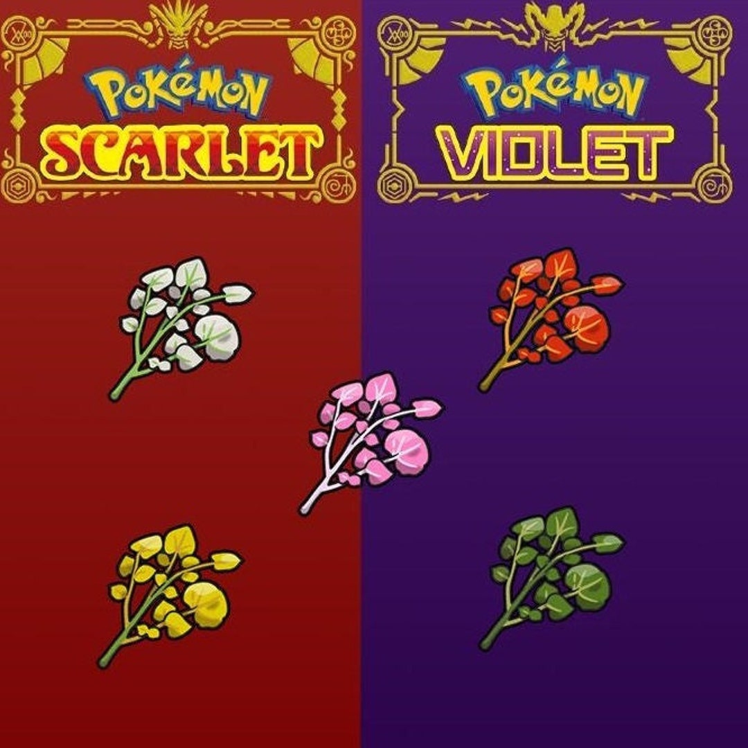 Herba Mystica X 25 Pokemon Scarlet / Violet Five star Tera Raid Pokeyy ...