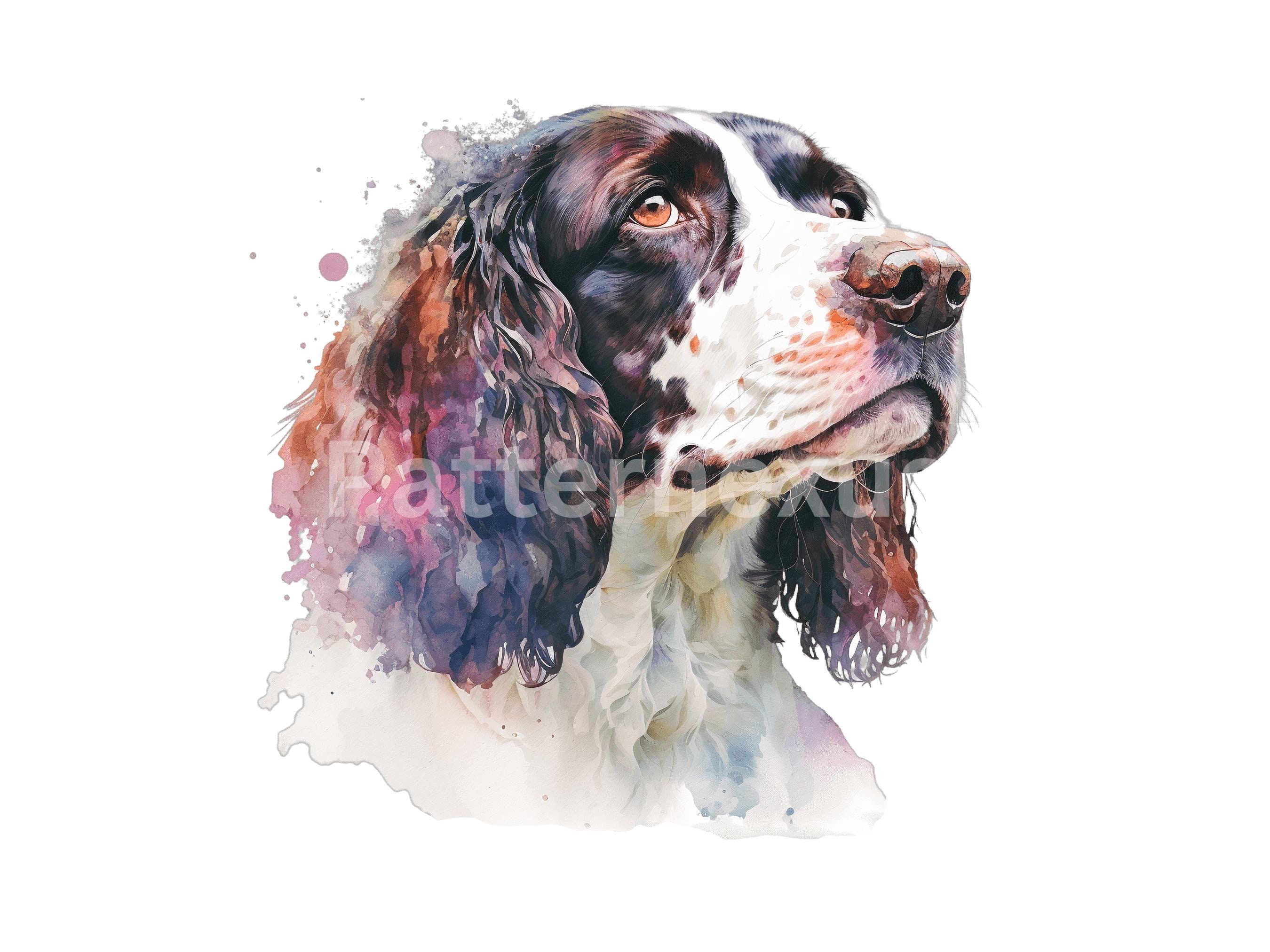 Springer Spaniel Clipart 6 Watercolor Dogs Clip Art Pngs Commercial Use ...