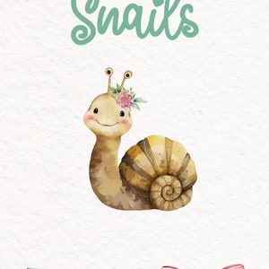 Snail Watercolor Clipart, Cute Baby Shower Graphics, Nursery Decor Wall ...