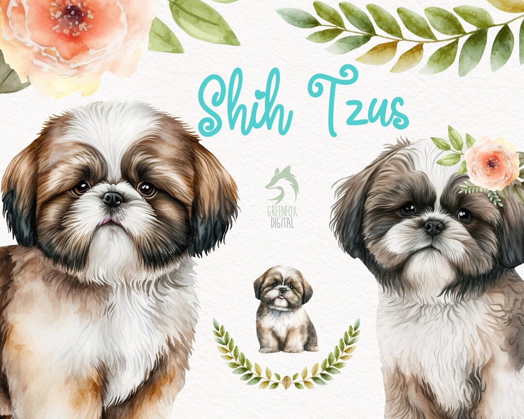 Shih Tzu Watercolor Clipart, Cute Dog Nursery Decor Wall Art, Doggie ...