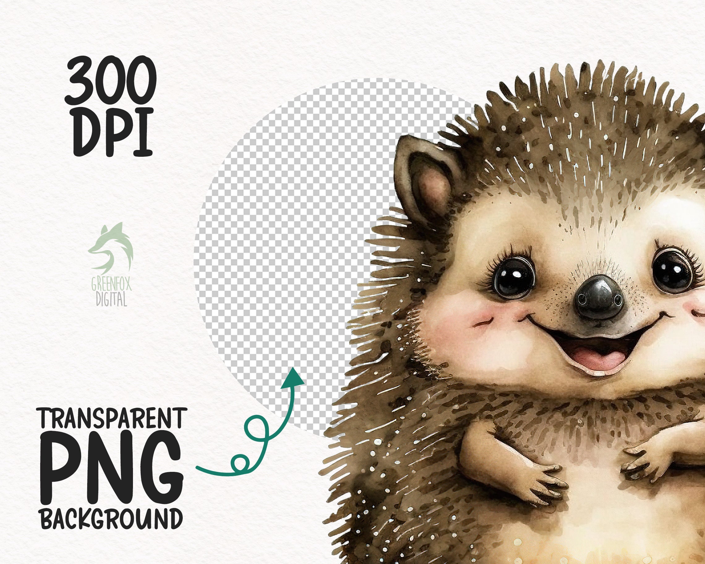 Hedgehog Watercolor Clipart Cute Baby Shower Graphics - Etsy UK