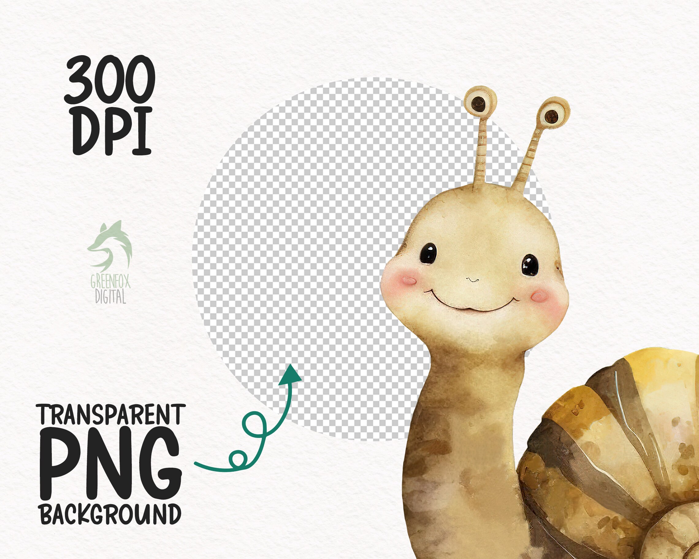 Baby Snail Clipart