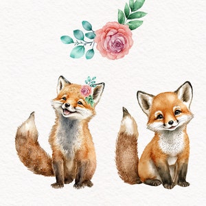 Fox Watercolor Clipart, Cute Baby Shower Graphics, Nursery Decor Wall ...
