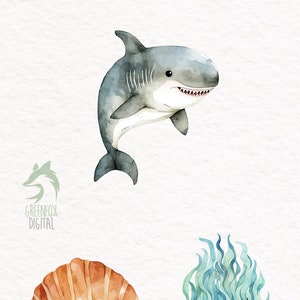 Shark Watercolor Clipart, Cute Baby Shower Graphics, Nursery Decor Wall ...