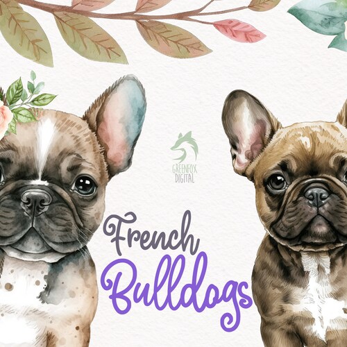 French Bulldog. Watercolor Little Animal Clipart Frenchies - Etsy