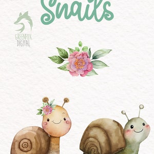Snail Watercolor Clipart, Cute Baby Shower Graphics, Nursery Decor Wall ...